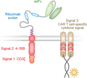 AlloCAR T™ Products - Allogene